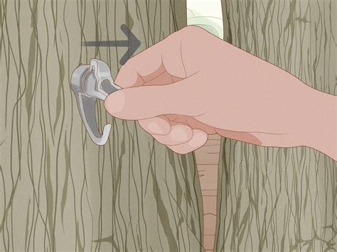 Image result for Maple Syrup Making Process Video