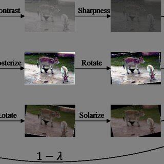 Image result for Series and Parallel Connection Difference