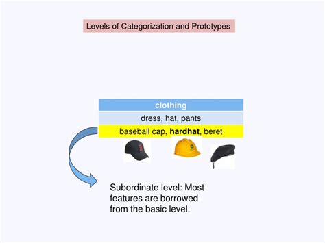 Image result for Basic Level Categorization