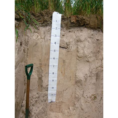 Image result for Visual Soil Compaction
