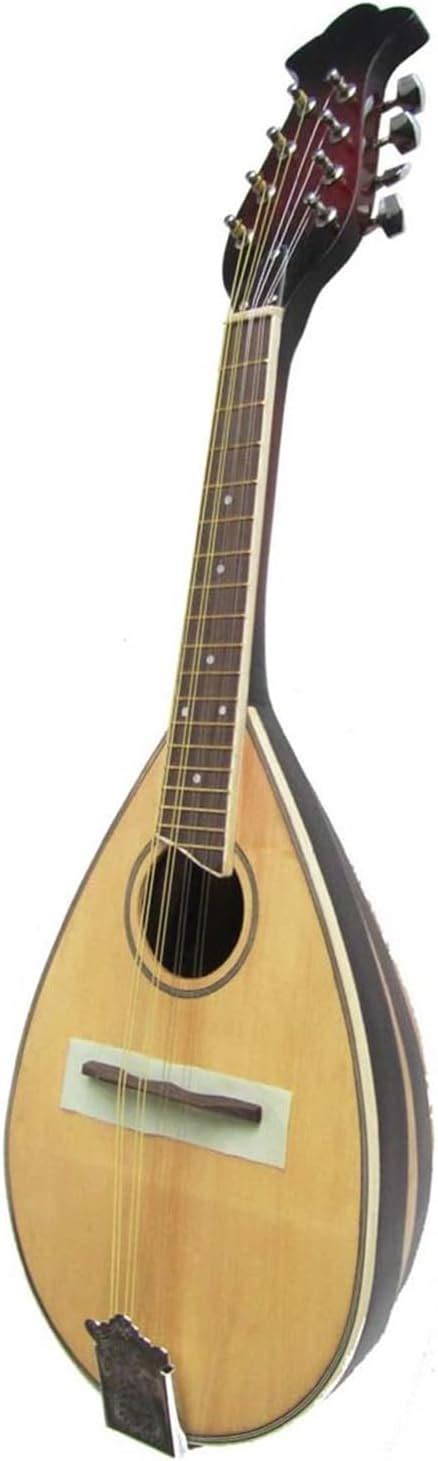 Image result for 3 String Mandolin