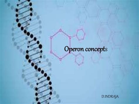 Image result for Operon Types