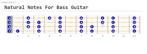 Image result for Bass Notes All Types