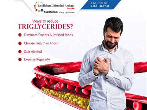 Image result for How to Reduce Triglyceride Levels