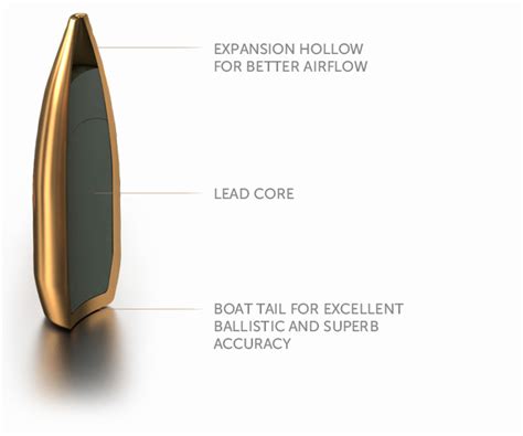 Image result for Different Types of Bullet Tips