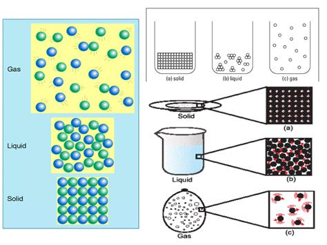 Image result for Class 9th Science