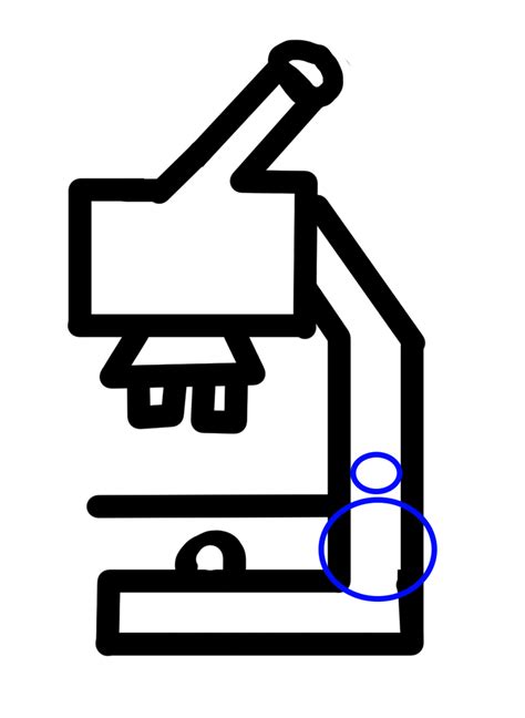 Image result for Microscope Label Diagram