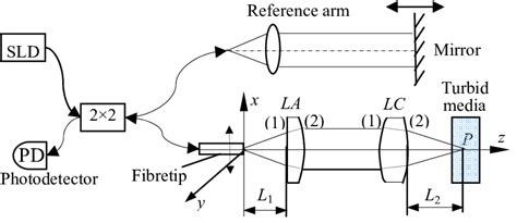 Image result for How Oct Works