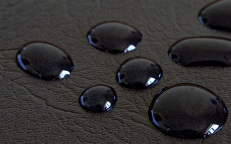 Image result for Leather Protection