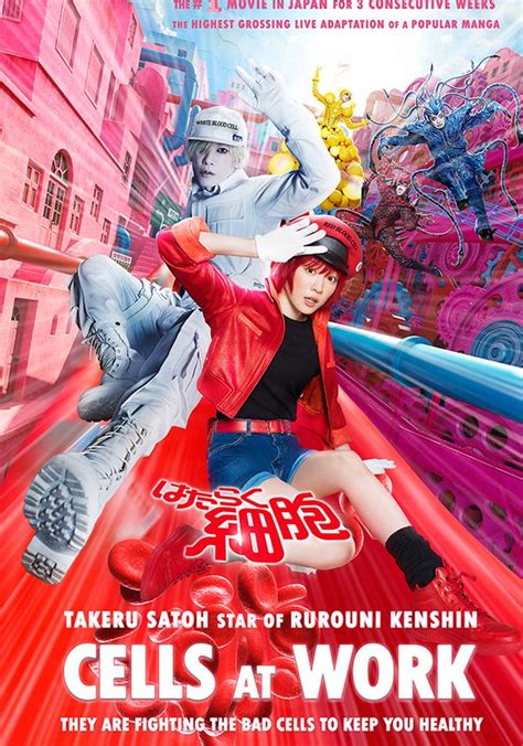 Image result for Cells at Work Net TV