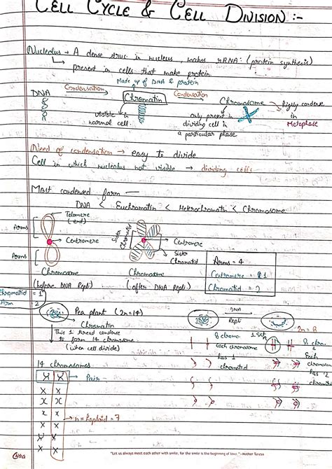 Image result for Cell Class 11 Notes