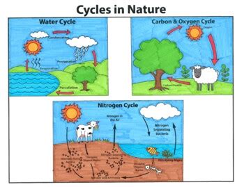 Image result for Classical Conversations Cycle 2 Week 6 Drawing