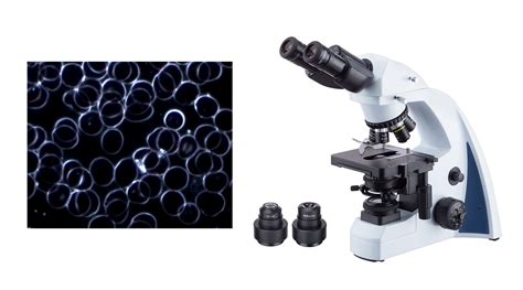 How Many Types of Optical Microscopes?