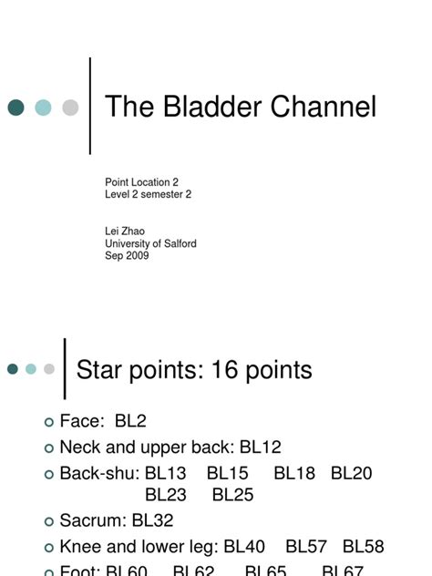 Image result for Bladder Channel TCM