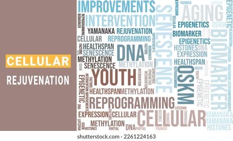 Image result for Yamanaka Discovered Cellular Reprogramming