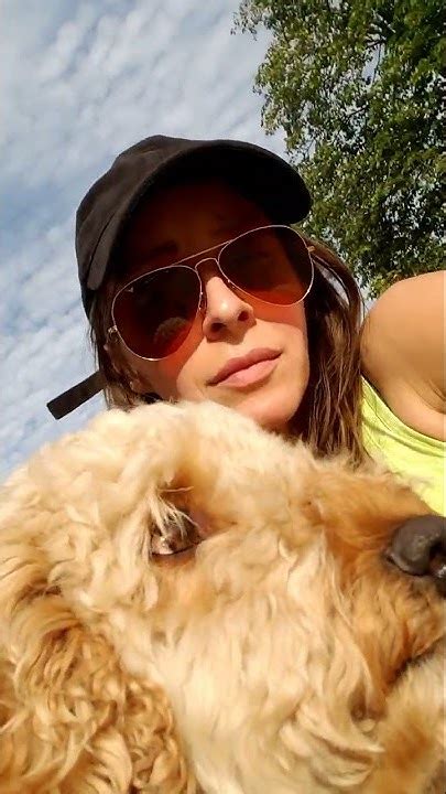 Image result for Cockapoo Shorts