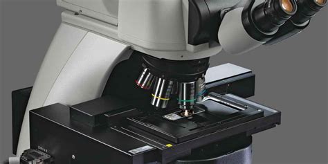 Image result for Nikon Microscope