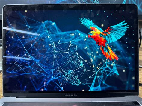 Image result for Dual Boot Parrot OS