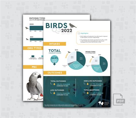 Image result for Example of RPA Bird Count