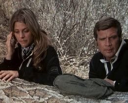 Image result for Dran Hamilton Bionic Woman