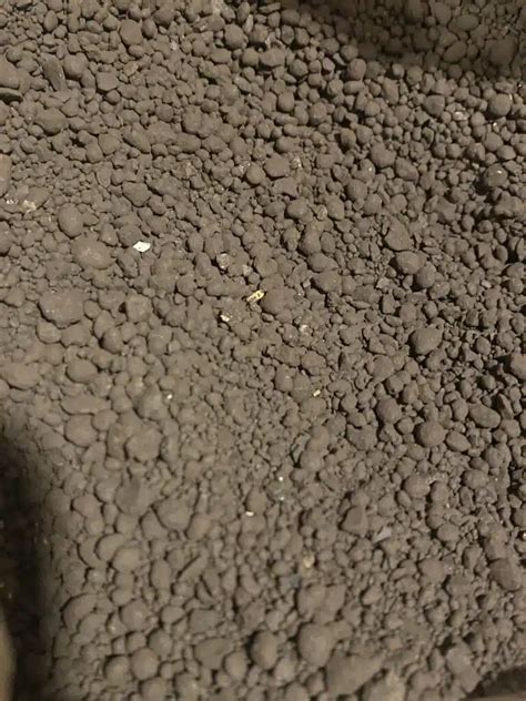 Image result for How to Apply Humic Acid