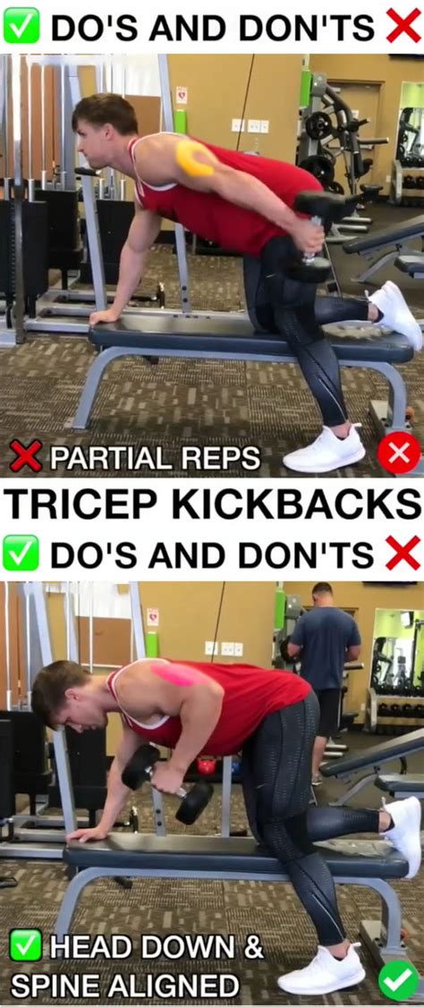 Image result for Tricep Kickbacks Form