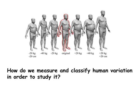 Image result for Human Variation