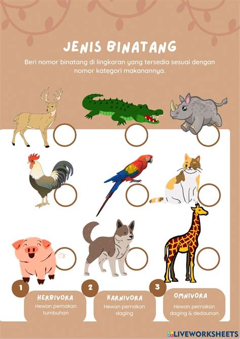 Image result for IPA Word Practice