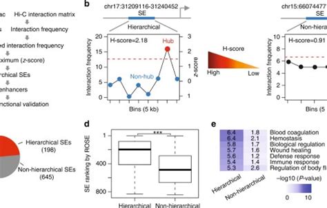 Image result for Super-Enhancer