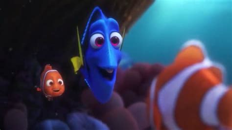 Image result for Finding Nemo Real Life