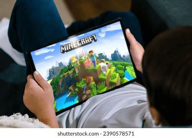 Kid Playing Minecraft Photos, Images and Pictures