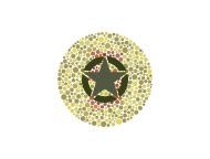 Image result for Farnsworth Lantern Test Example