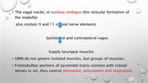 Image result for Larynx Function