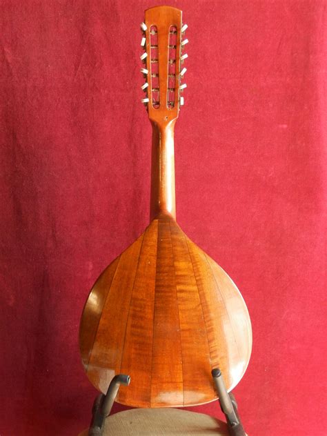 Image result for 12 String Mandolin