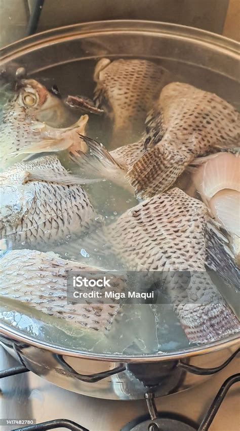 Image result for Boiling Fish