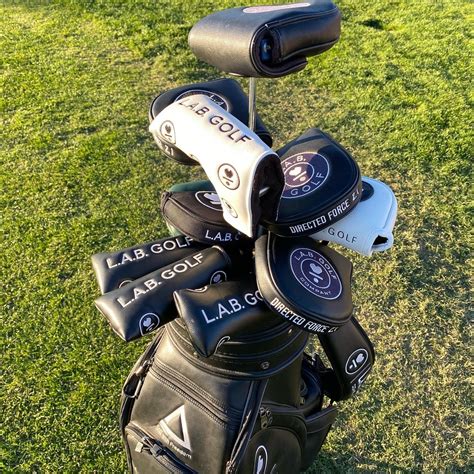 Image result for Lab Putter Fitting