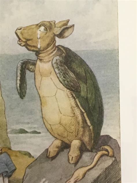 Image result for Cursed Turtle Man