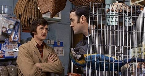 Image result for Monty Python Parrot