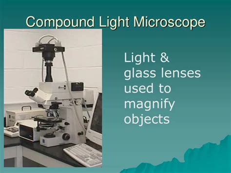 Image result for Scientific Microscope