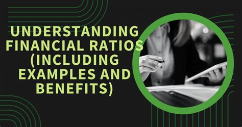 Image result for Financial Ratios Examples