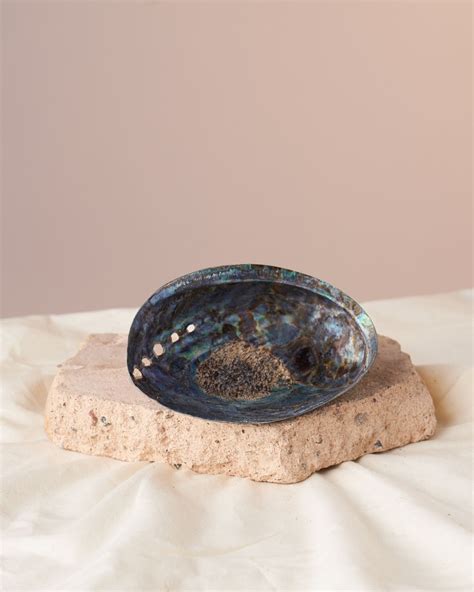 Image result for How to Polish Paua Shells