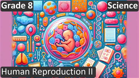 Image result for Reproduction in Humans Class 8