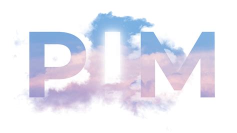 Image result for Pim Budget Example