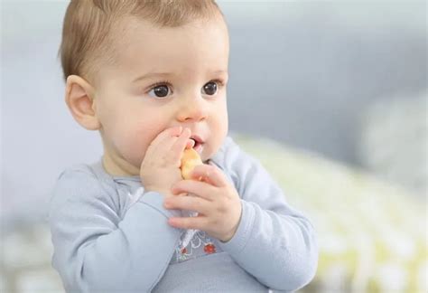 Image result for 8 Week Old Baby Development