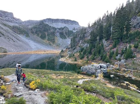 Image result for Iterative Health Logo