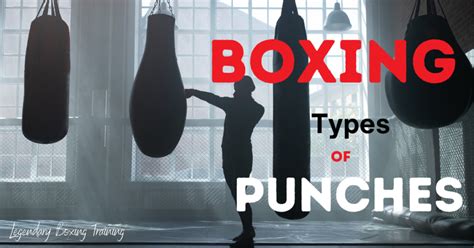 Image result for Boxing Punch Combinations