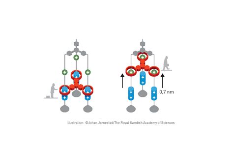 Image result for Molecular Machine