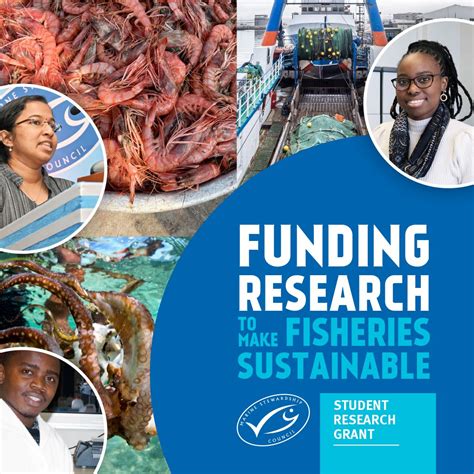 Image result for Marine Science Projects