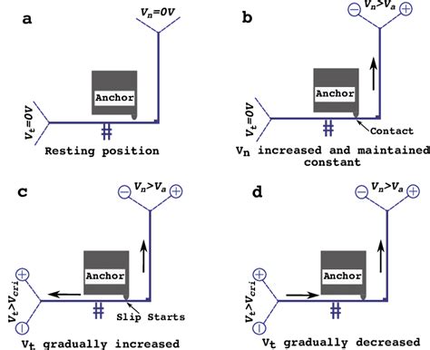 Image result for Sructural Test Procedure