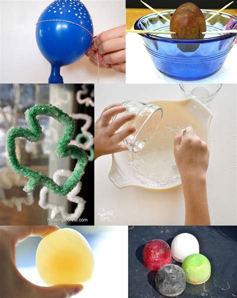 Image result for Easy Pre-K Science Projects